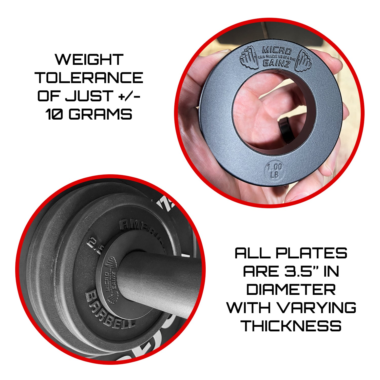 Olympic Size Fractional Weight Plates, Set of 10 Plates (0.25 lb.-1.25 ...